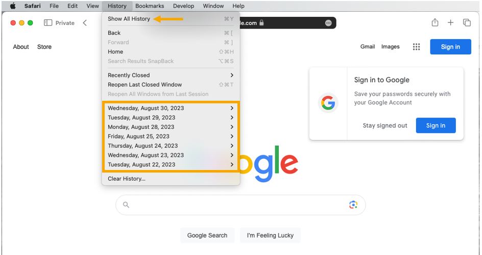 How do I view my browsing history and visited websites?